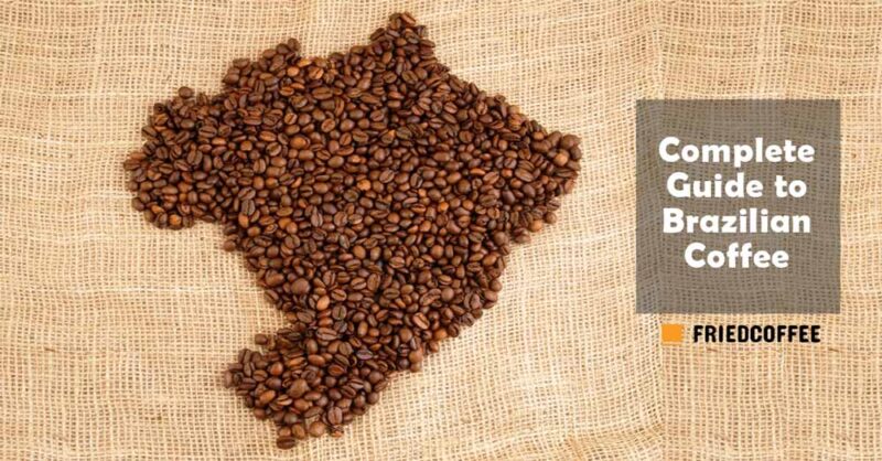 Best Brazilian Coffee Beans [History, Types & Facts] - FriedCoffee