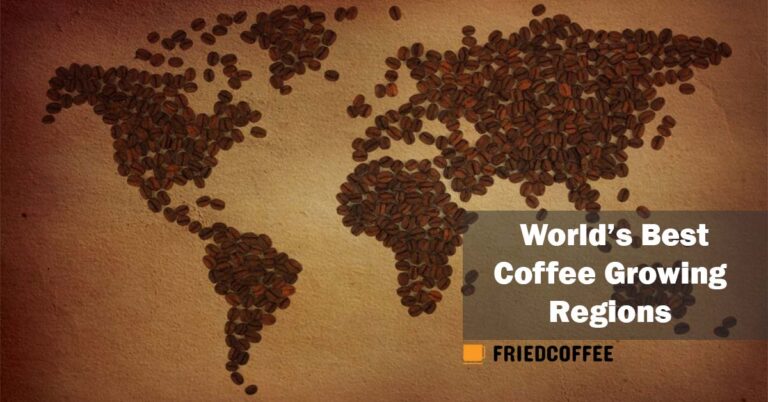 Best Coffee Growing Regions In The World - FriedCoffee